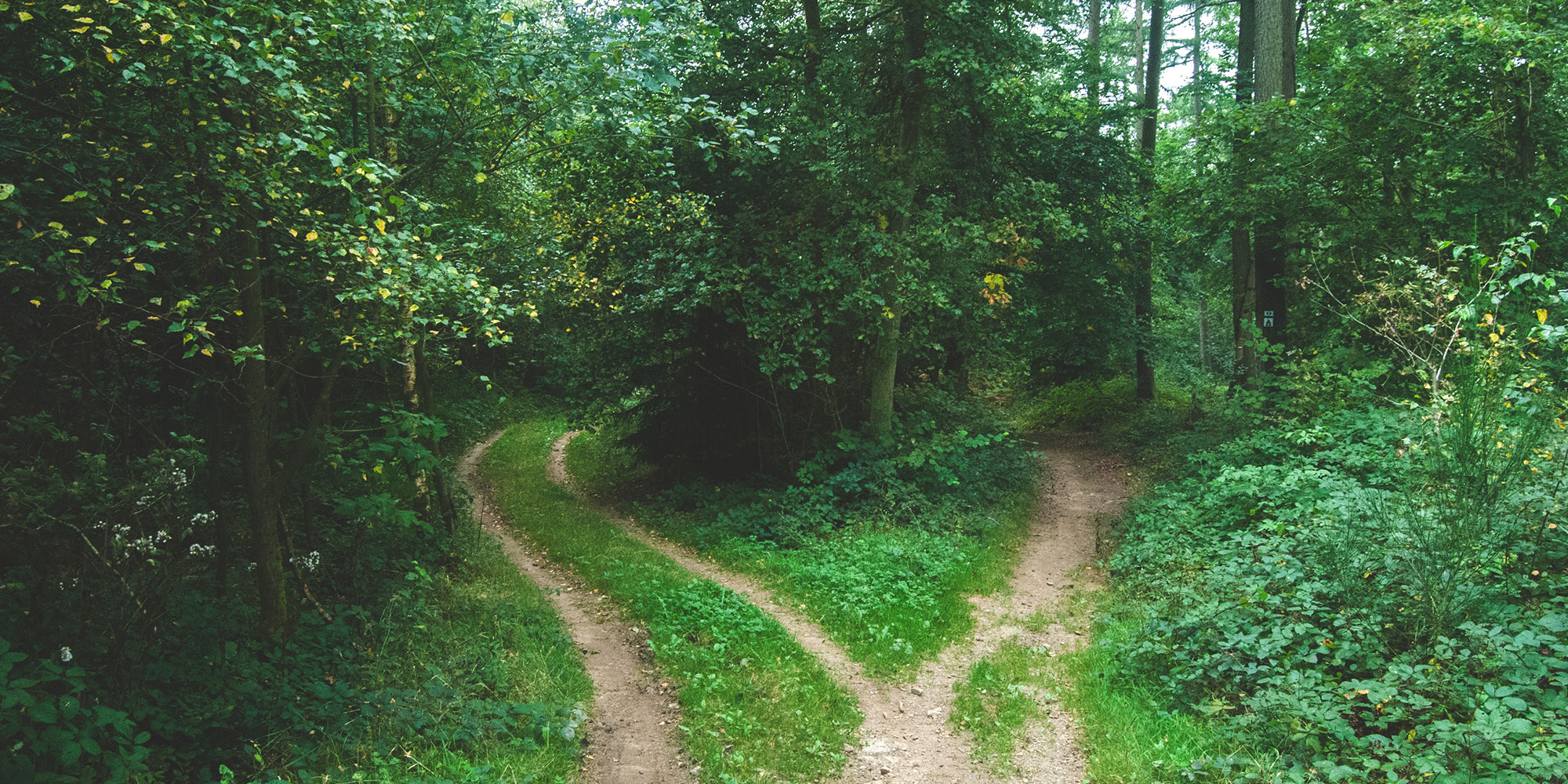 テクノロジーがメディアを変える 〜日本のデジタルメディア20年〜 | PR会社 | プラップジャパン | PRAP JAPAN